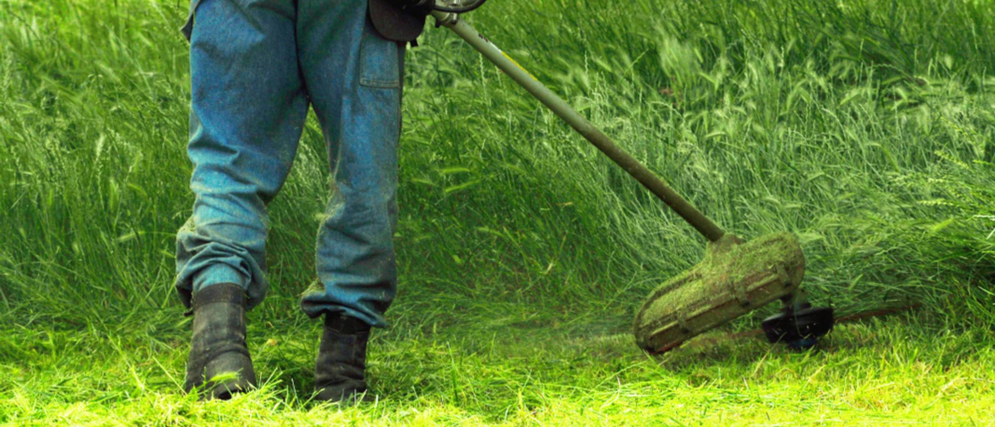 Freischneider Test & Vergleich » Top 17 im Dezember 2025