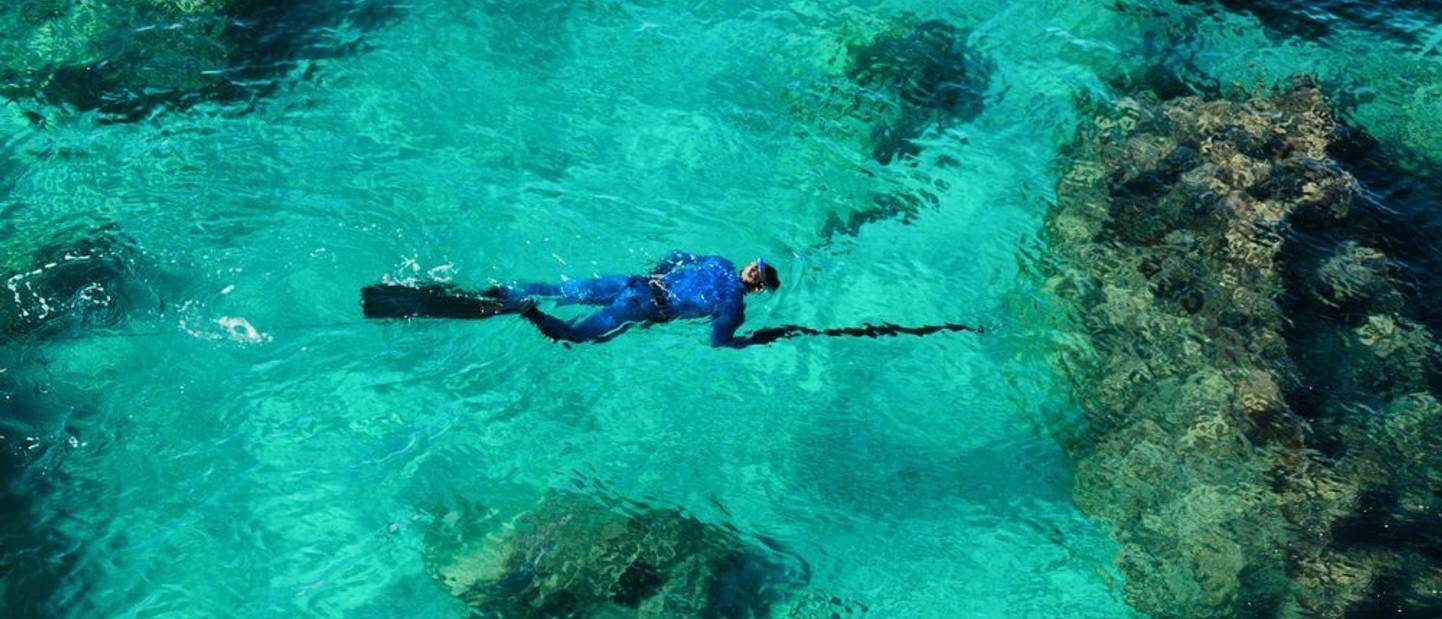 Harpune Test & Vergleich » Top 9 im Dezember 2025