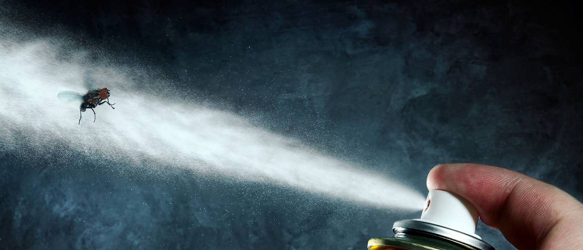 Insektenspray Test & Vergleich » Top 14 im November 2022