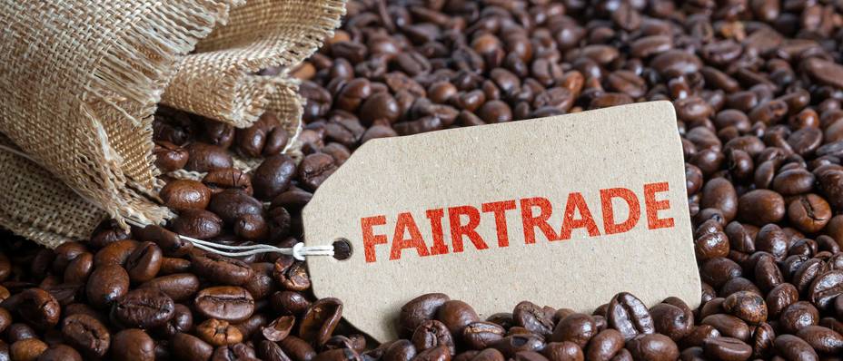 Top 10 Bio-Fairtrade-Kaffees Test & Vergleich