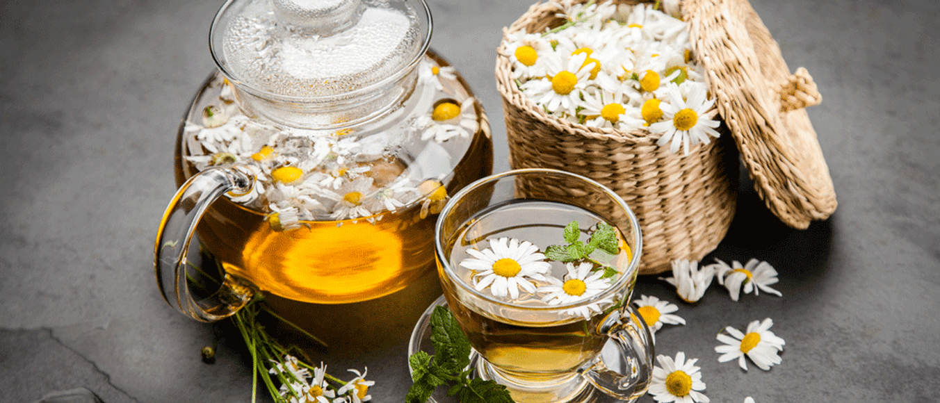 Kamillentee Test & Vergleich: Top 10