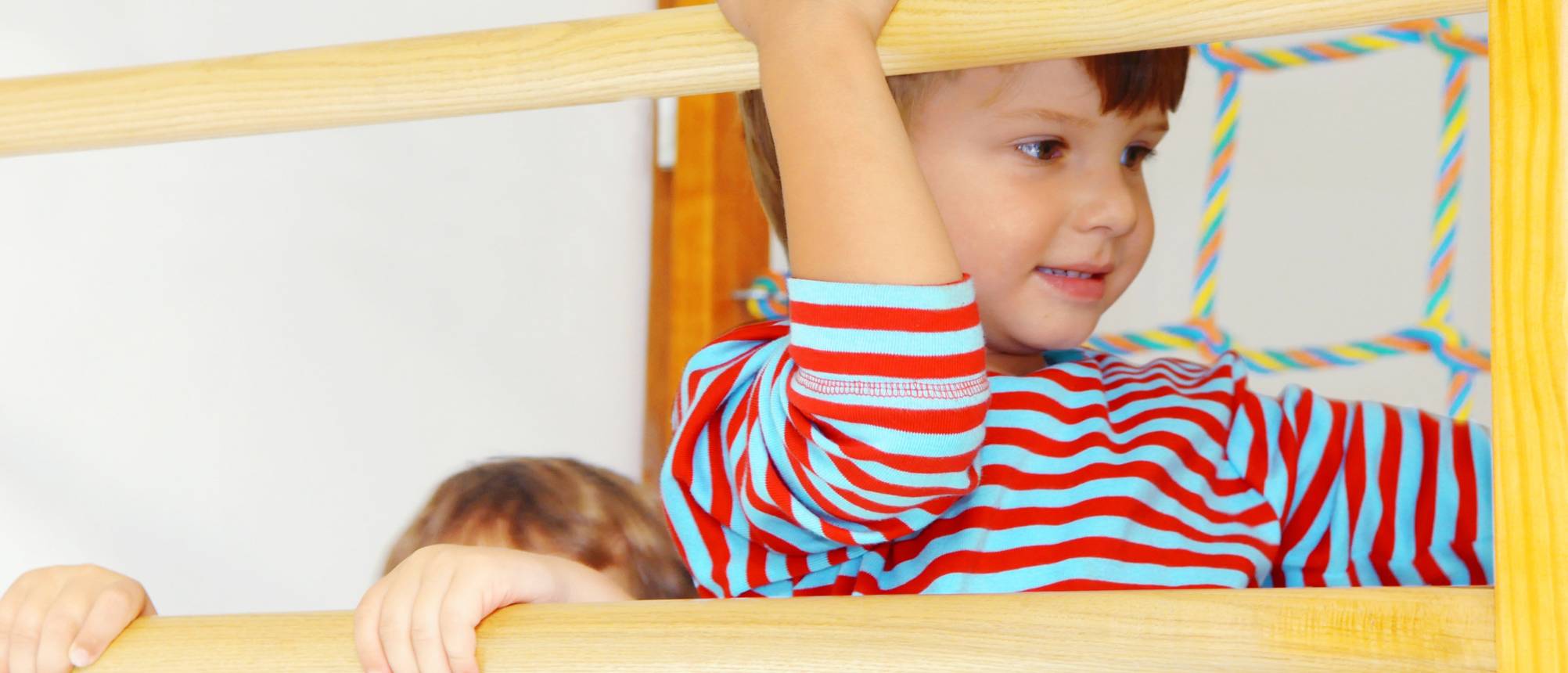 Kaufberatung Sprossenwände Top 10 Test & Vergleich