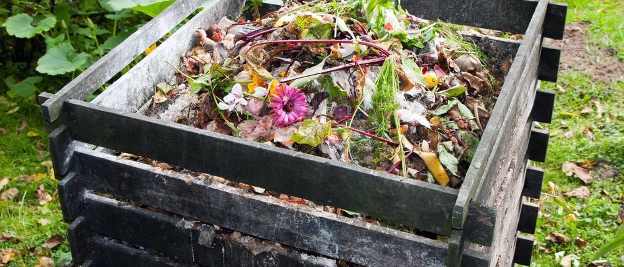 Komposter kaufen - Test & Vergleich » Top 21 im Februar 2023