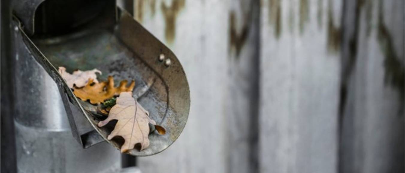 Laubabscheider Test & Vergleich » Top 13 im Januar 2026