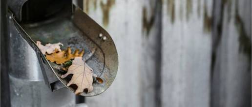 Laubabscheider Test & Vergleich » Top 13 im Januar 2026