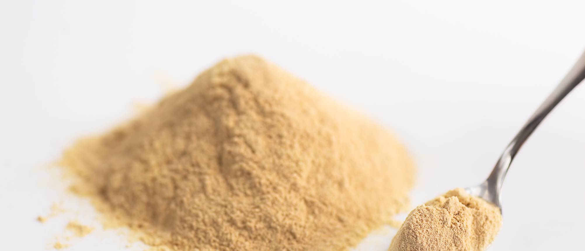 Lecithin-Pulver Test & Vergleich » Top 13 im Oktober 2025