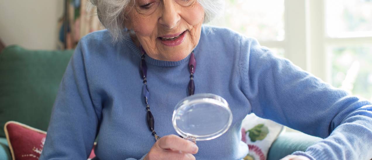 Leselupe Test & Vergleich » Top 15 im Januar 2026