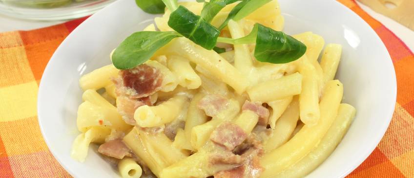 Makkaroni Test & Vergleich » Top 10 im Januar 2025