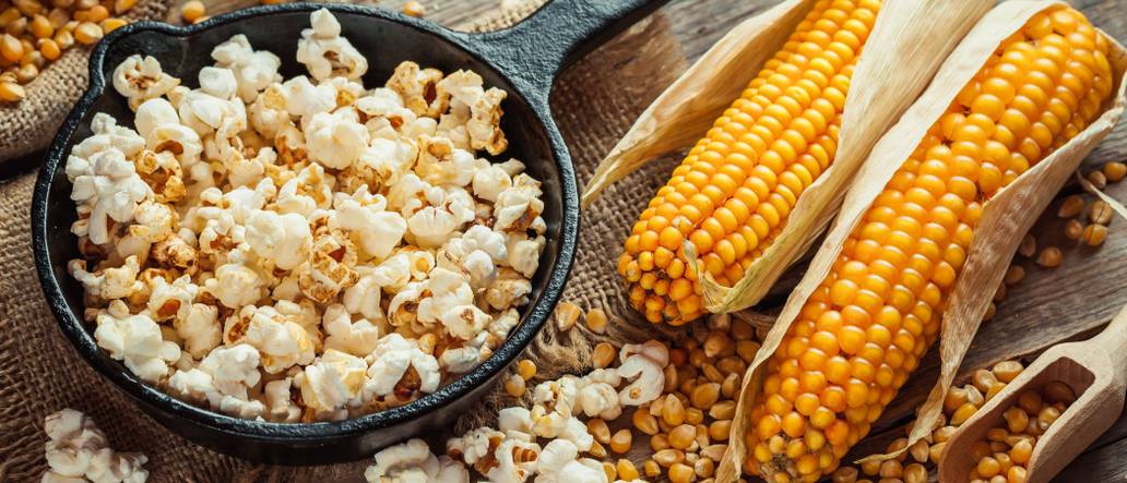 Popcornmais Test & Vergleich » Top 11 im Mai 2024