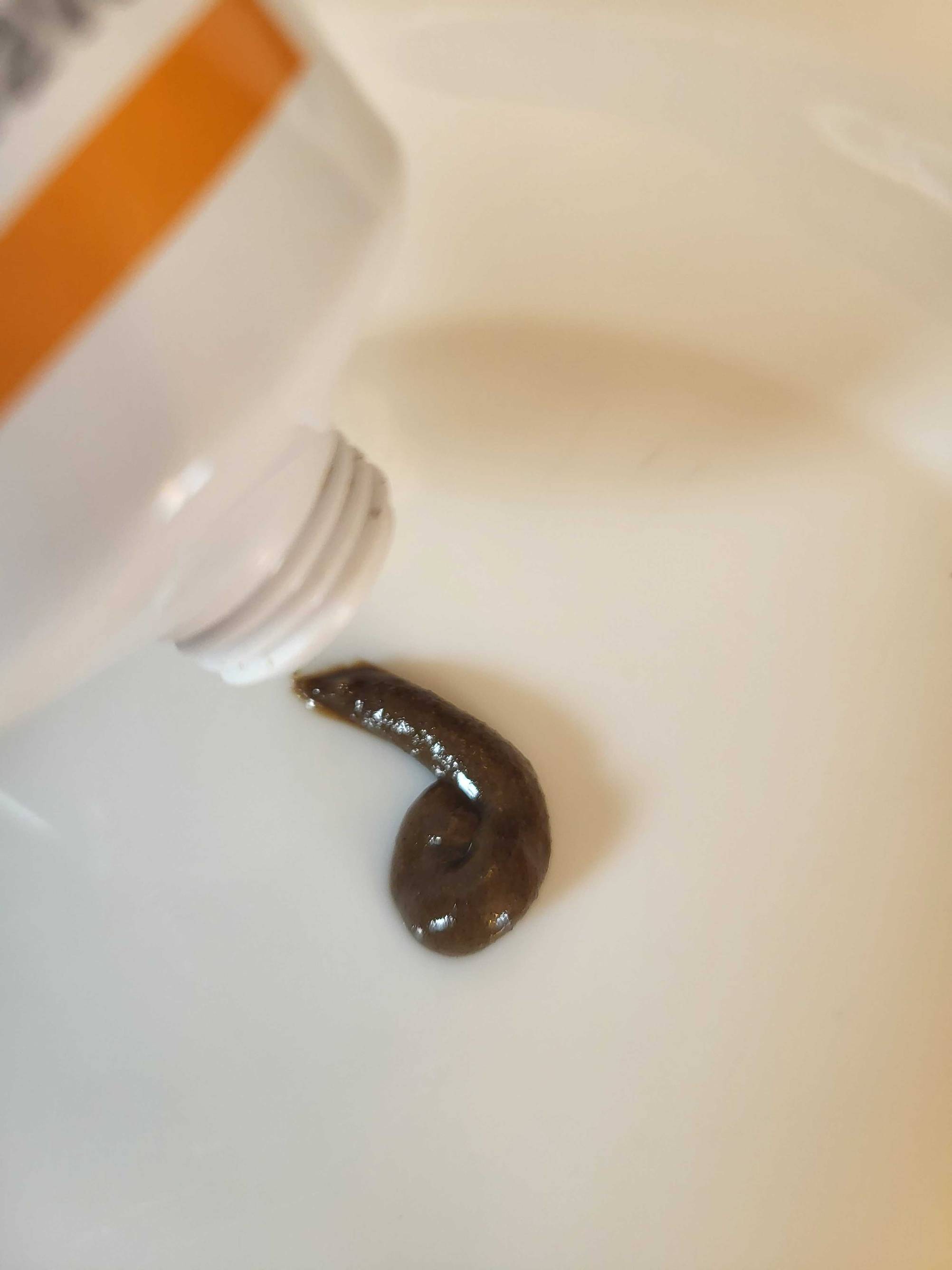 Probiotika Hund Test & Vergleich » Top 20 im Januar 2026