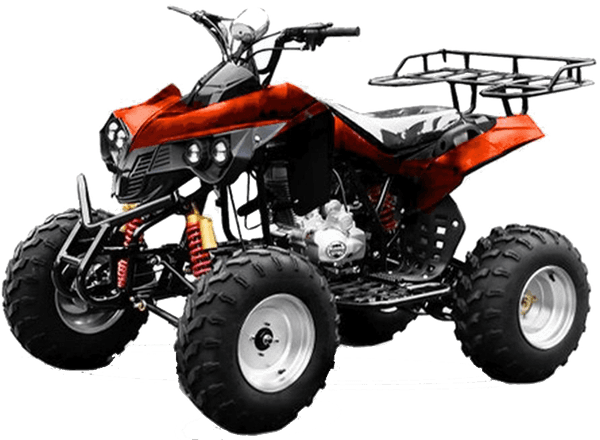 Quad kaufen - Test & Vergleich » Top 13 im Juni 2025