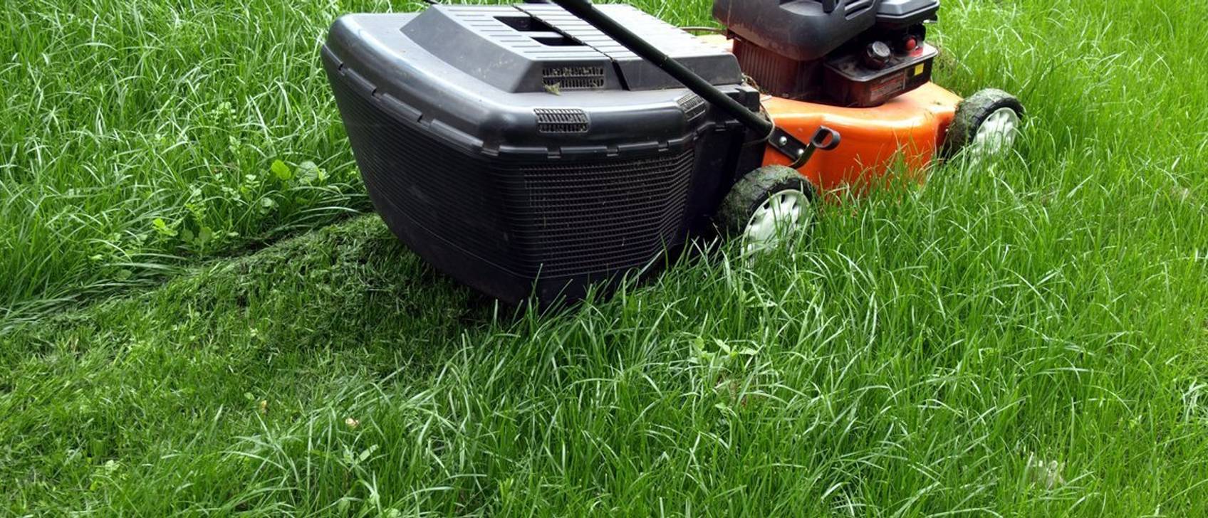 Rasenmaher Mit Mulchfunktion Test
