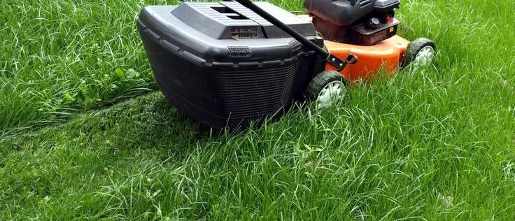 Erstaunlich Mulchfunktion Beim Rasenmaher Fotos