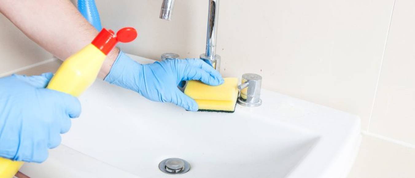 Scheuermilch Test & Vergleich » Top 10 im Dezember 2025