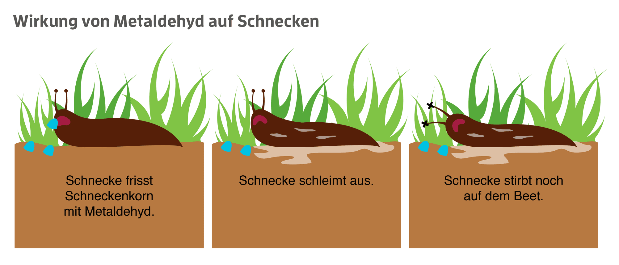 Schneckenkorn: Top 10 Test & Vergleich