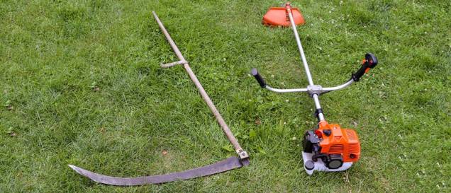 Sense kaufen - Test & Vergleich » Top 15 im November 2022