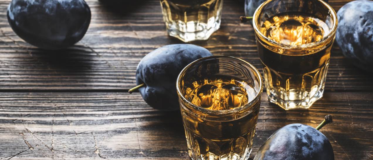 Sliwowitz Test & Vergleich » Top 8 im November 2025