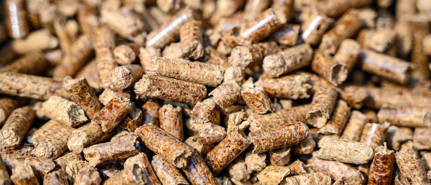 Smoker-Pellets Test & Vergleich » Top 15 im Juni 2026