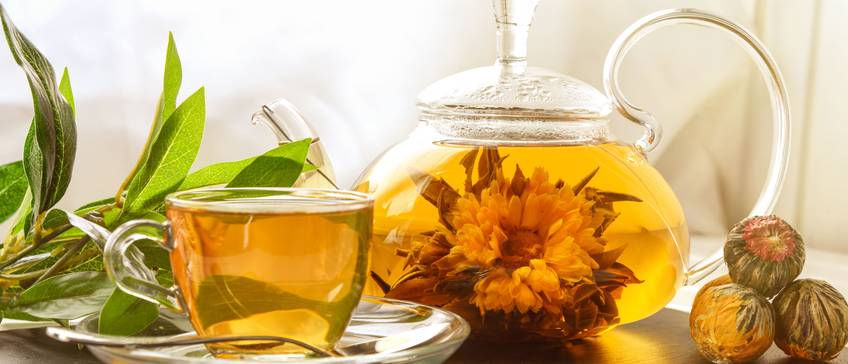 Teeblumen Test & Vergleich » Top 13 im Januar 2026