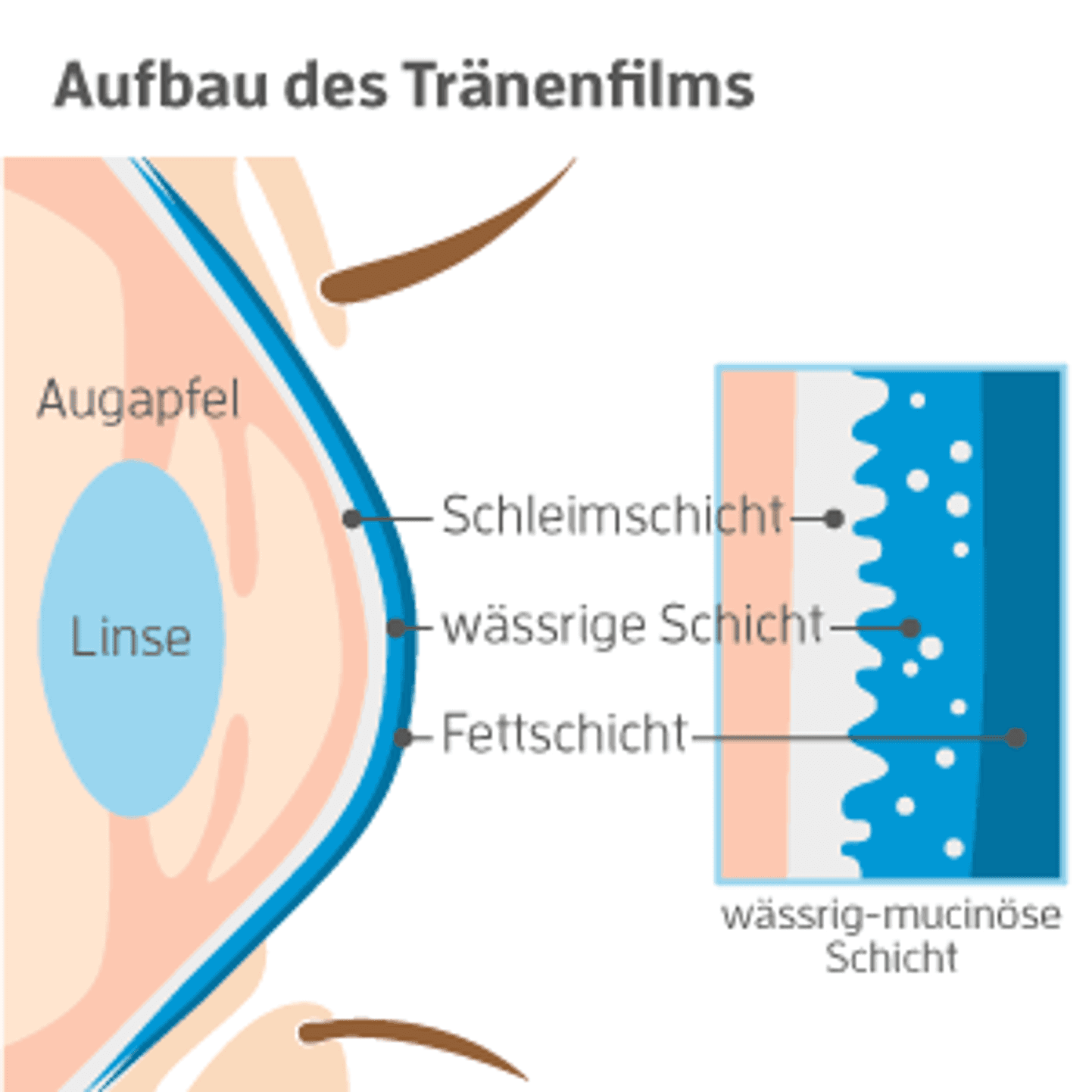 Augentropfen Test & Vergleich » Top 15 im März 2023
