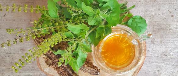 Tulsi-Tee Test & Vergleich » Top 11 im Oktober 2025