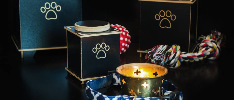 Urne Hund Test & Vergleich » Top 10 im Januar 2026