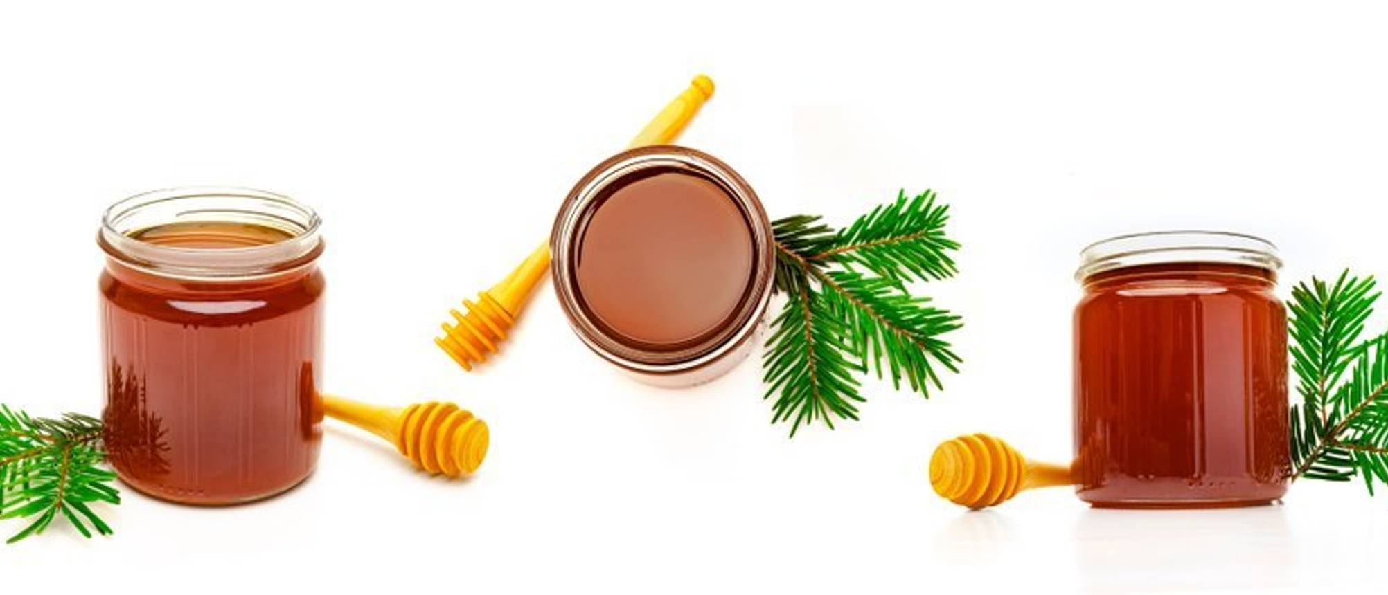 Waldhonig Test & Vergleich » Top 8 im Januar 2024