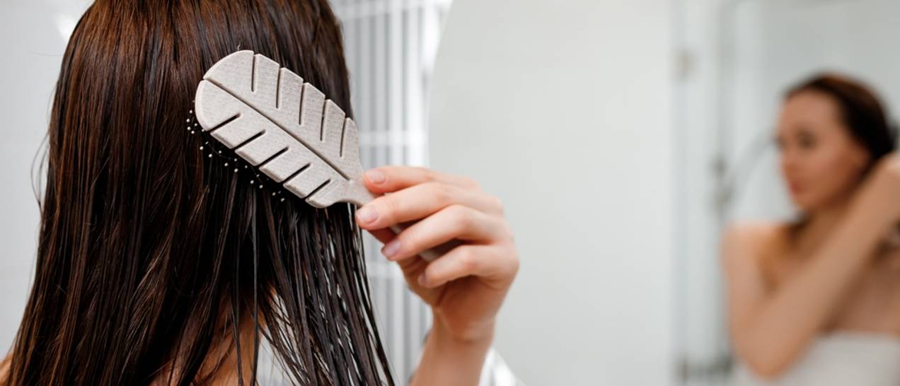 Wet Brush Test & Vergleich » Top 12 im Dezember 2025