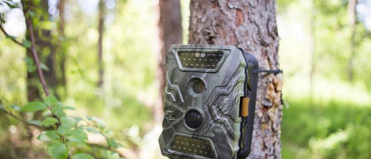 Wildkamera mit WLAN: Top 10 Test & Vergleich
