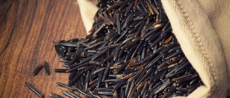 Wildreis Test & Vergleich » Top 11 im Dezember 2025